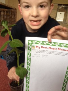Primary Science : Teaching the scientific method by growing beans ...